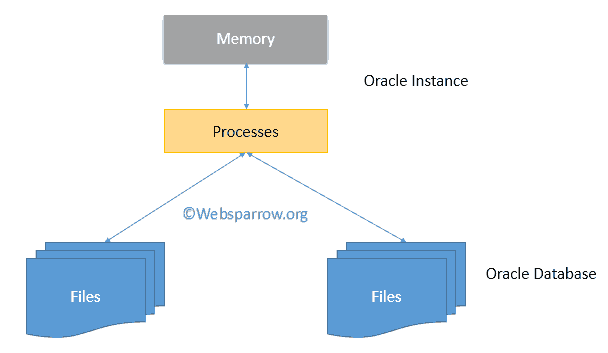 Overview and Architecture of Oracle Database Server - Websparrow Overview and Architecture of Oracle Database Server - Websparrow