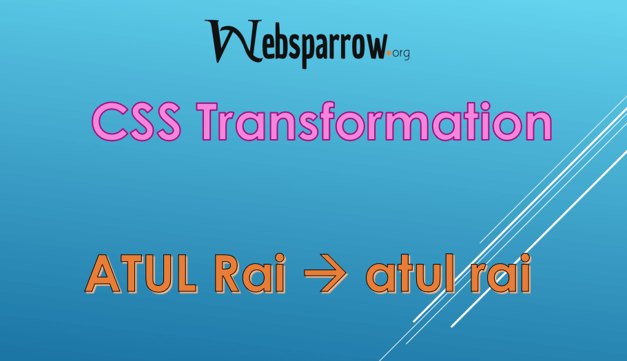How To Lowercase Text With CSS Websparrow